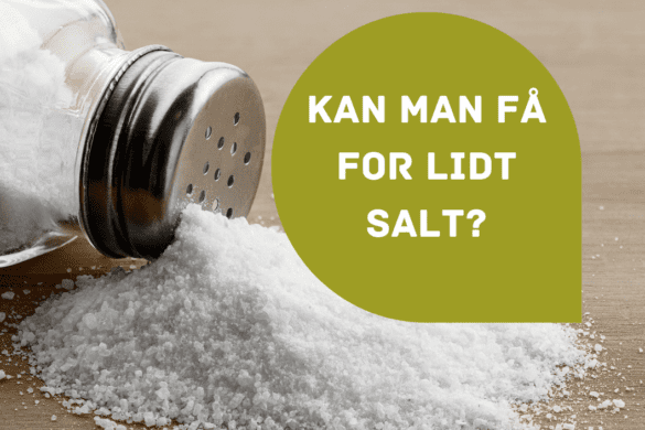 Proteinrig mad - inkl. top 20-liste og 3 opskrifter - Enduga.dk