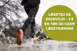 Proteinrig mad - inkl. top 20-liste og 3 opskrifter - Enduga.dk